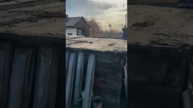 8 день отпуска 2024. Ремонтируем крышу углярки в отпуске.