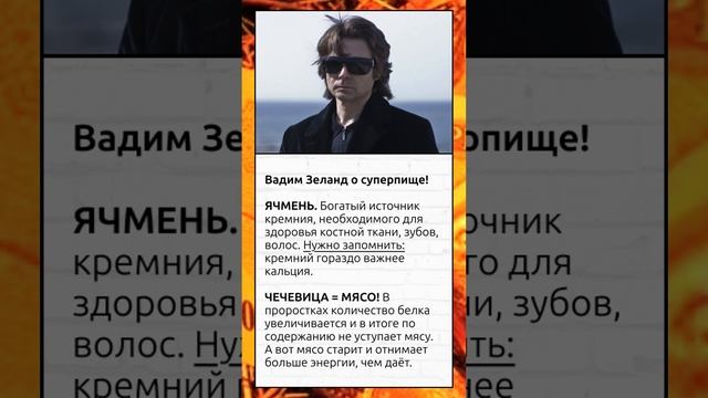 Вадим Зеланд - СУПЕРПРОДУКТЫ - Чечевица и Ячмень