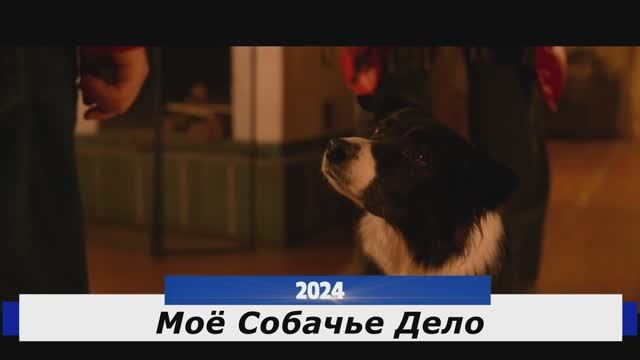 Моё Собачье Дело Трейлер