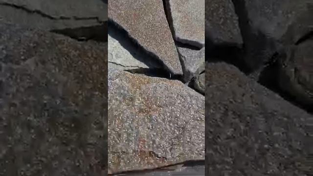 Природный камень серебристый златолит галтованный