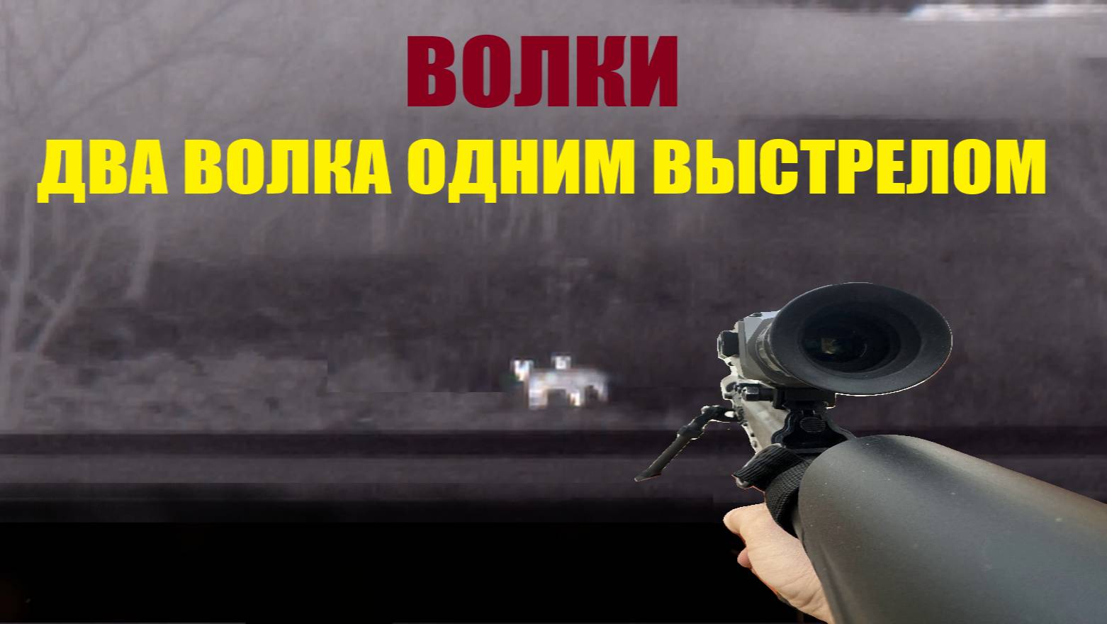 Охота на волка в России, два волка одним выстрелом
