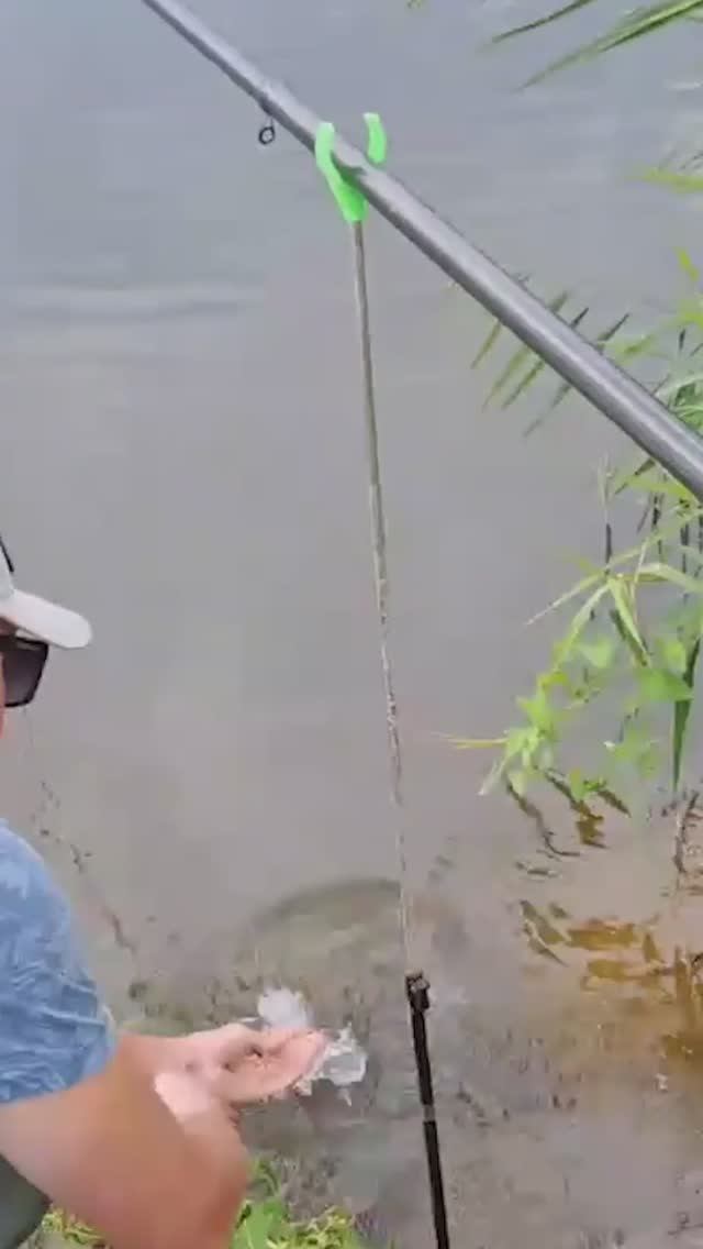 Поймал отпустил