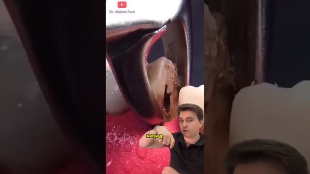 Вот что сделают с вашим зубом,если вы его сломаете