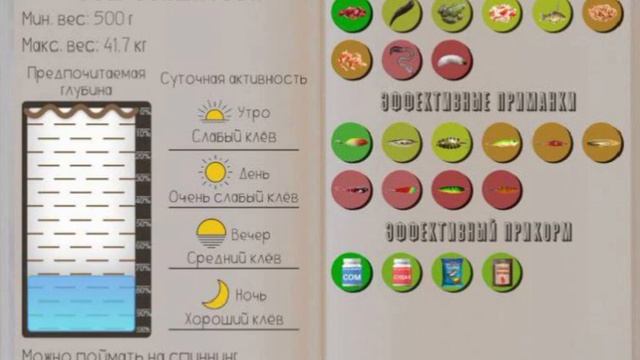 РЕАЛЬНАЯ РЫБАЛКА 2 | СОМ СОЛДАТОВА