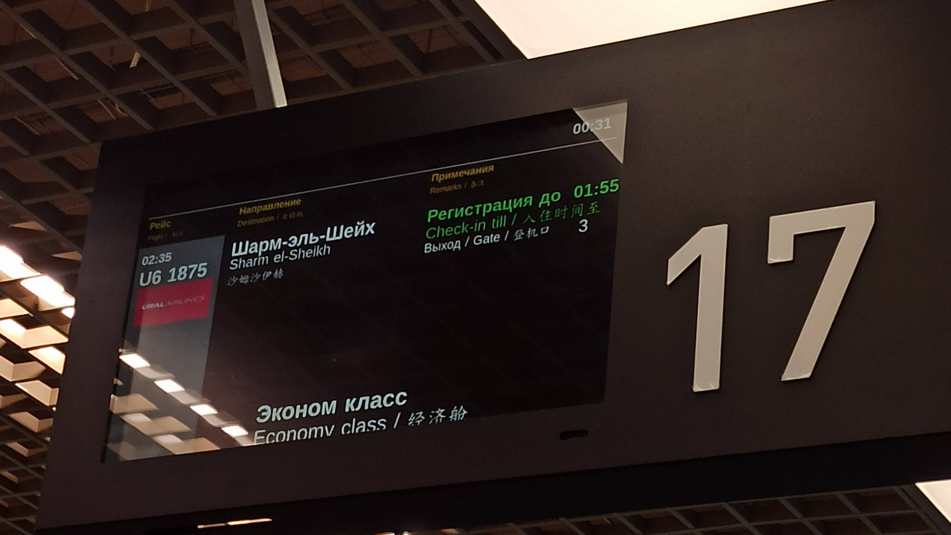 Шарм-Эль-Шейх 2024 Дайв Ин - день первый