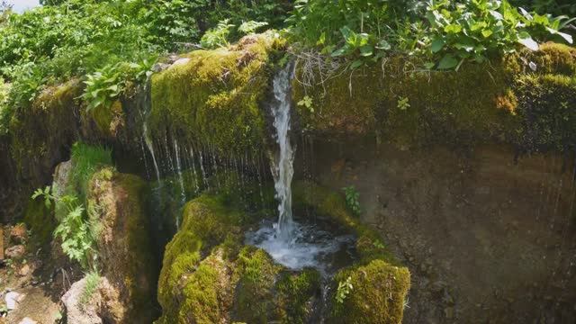 Едем в Ларинский заказник на Звездный ключ