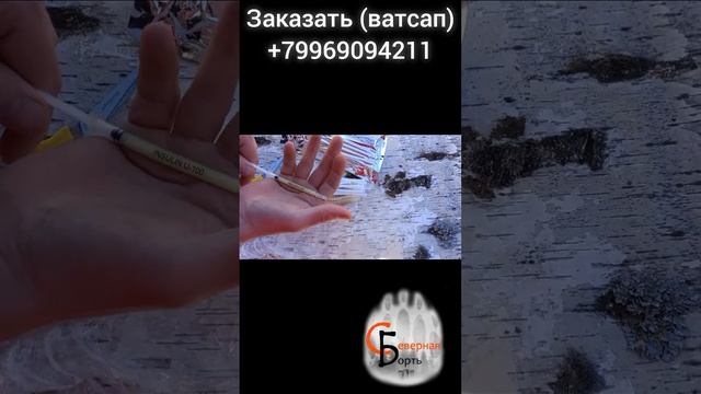 Маточное молочко живое "Северная борть". Как применять маточное молочко, как хранить?