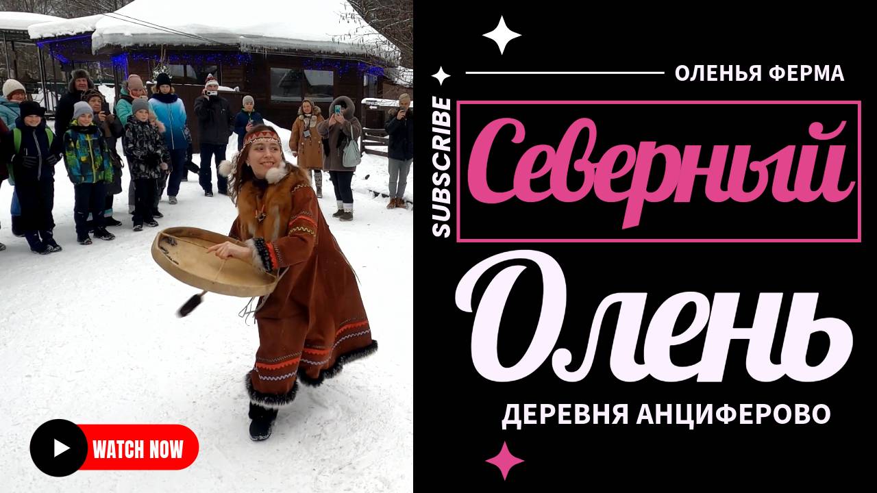 Катание на оленях 🦌 Ферма Северный Олень ❄️ Зимние приключения