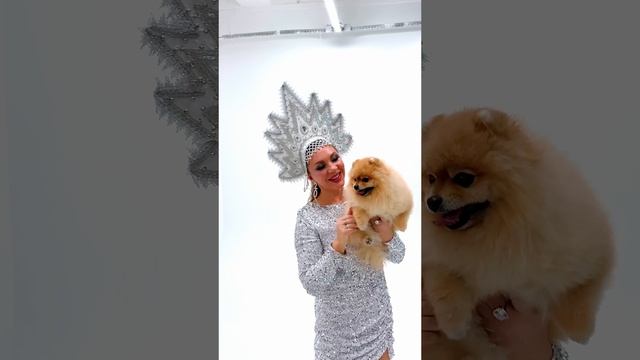 НИ – Студия бел. 2