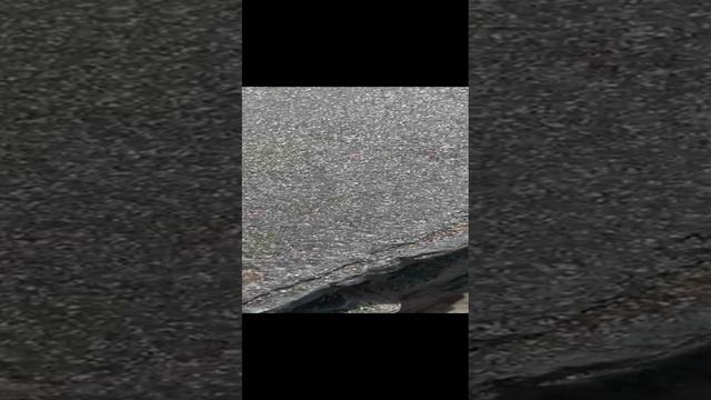 Плитняк серебристый златолит галтованный