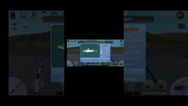 СКУМБРИЯ ТРОФЕЙ НА ОХОТСКОМ МОРЕ В РЕАЛЬНАЯ РЫБАЛКА 2