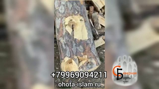 Колода для пчел башкирская