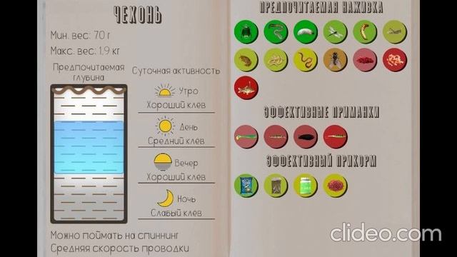 РЕАЛЬНАЯ РЫБАЛКА 2 | ЧЕХОНЬ