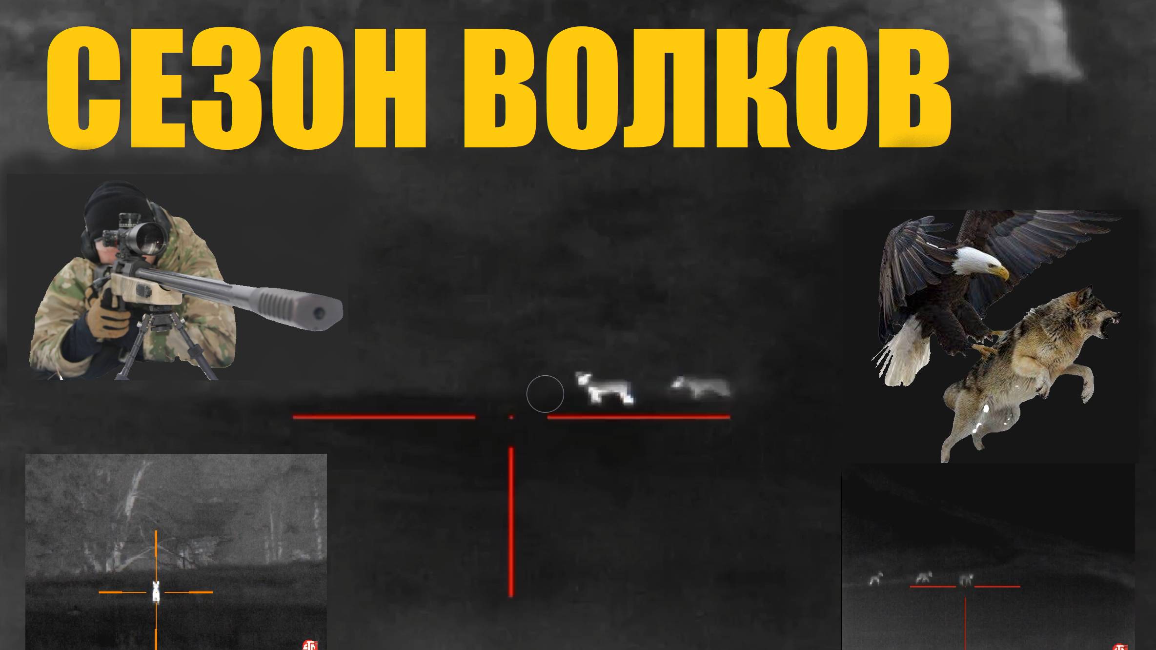 Охота на волка Ингушетия, Сезон волков Season of wolves