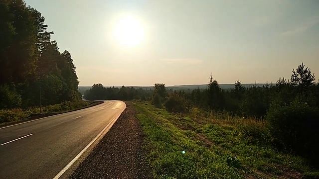 Настоящий мед. Где он бывает?