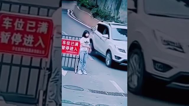 Мои куртяхи нуждаются во мне