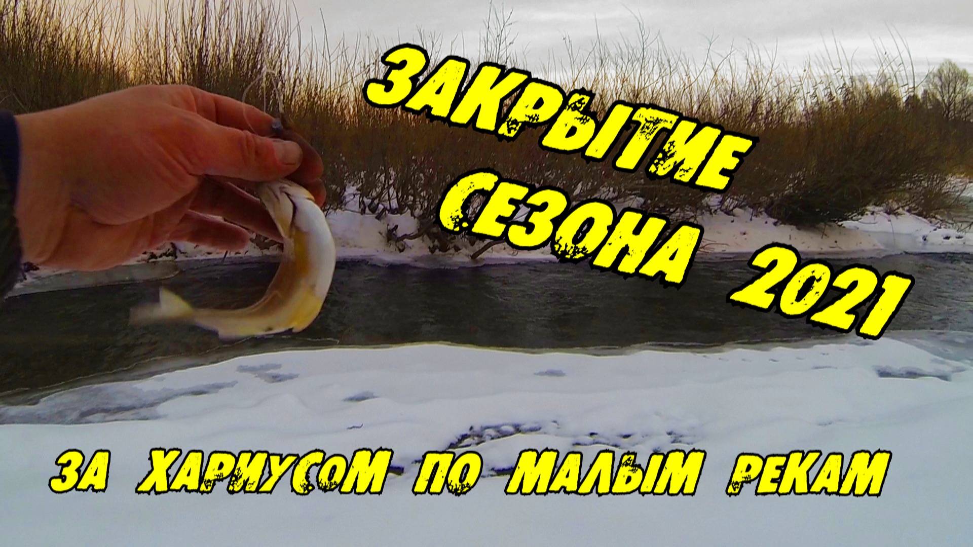 ЗАКРЫТИЕ СЕЗОНА. ЗА ХАРИУСОМ ПО МАЛЫМ РЕКАМ. Рыбалка на Хариуса в Новосибирске