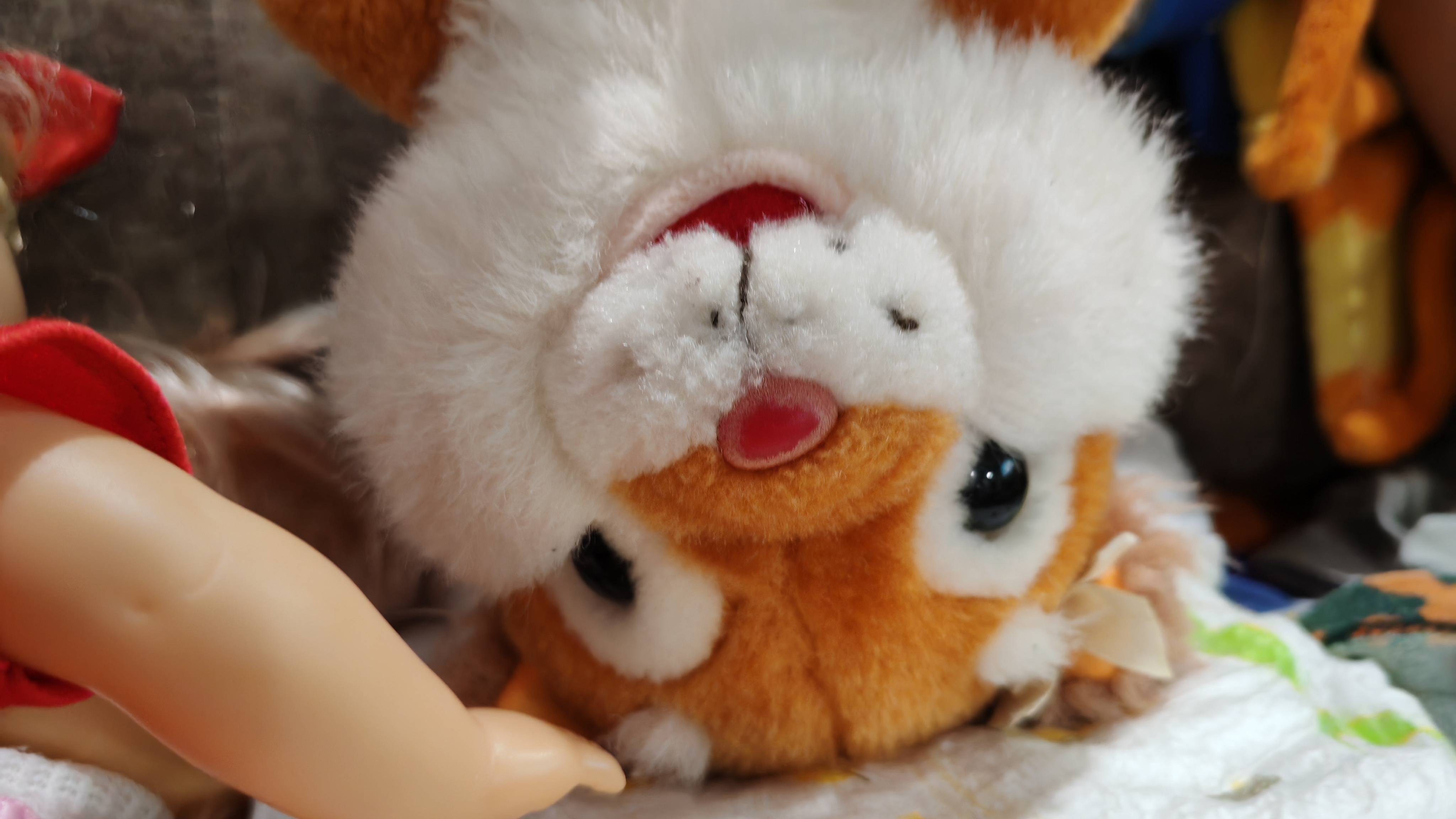 Плюшевая белка поздравляет с новым годом