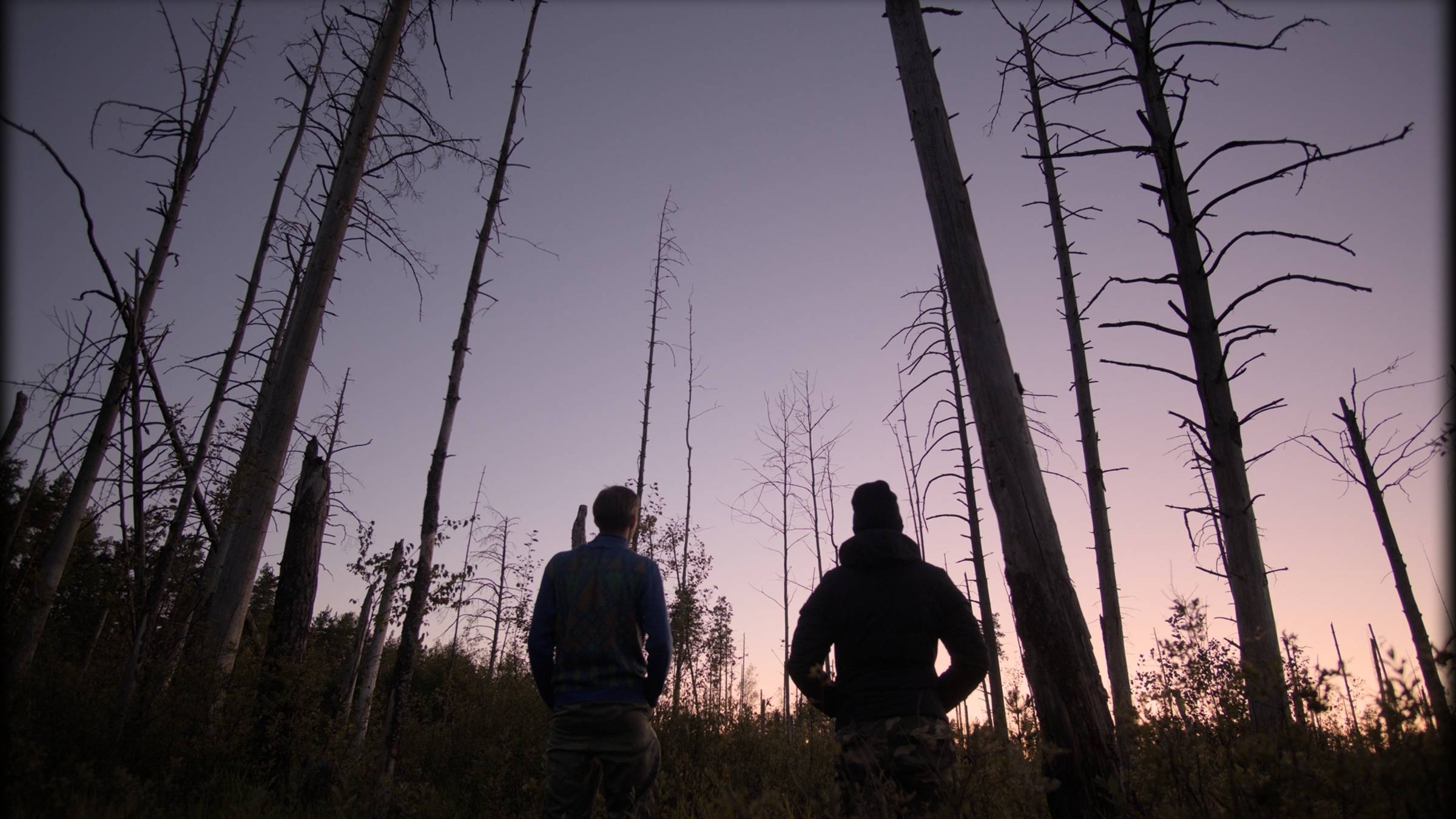 Снимаем Снимаем Млечный Путь среди сухих сосен возле линии на Москву - Всю ночь рядом с поездами