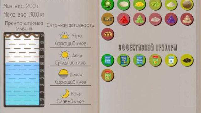 РЕАЛЬНАЯ РЫБАЛКА 2 | ТОЛСТОЛОБИК