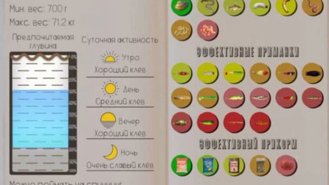 РЕАЛЬНАЯ РЫБАЛКА 2 | ШИП