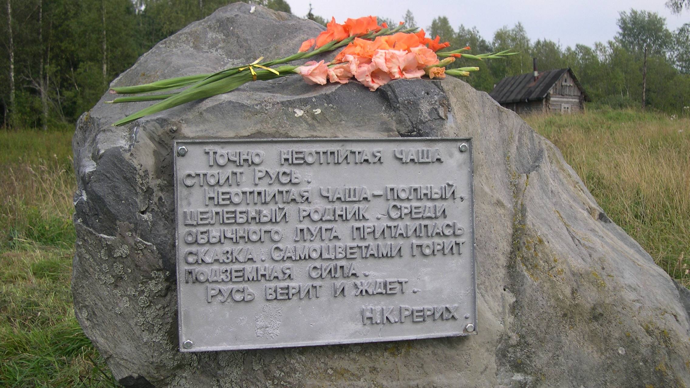 Чаша неотпитая