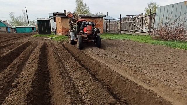 Картошка, минитрактор, мотоблок - от вспашки до урожая. Реальная жизнь в деревне
