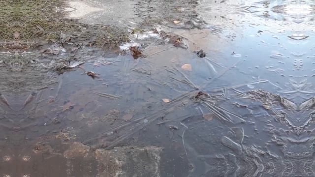 2023__Красота Божьего мира__8 серия__фото родителей__монтаж Соня Чумак