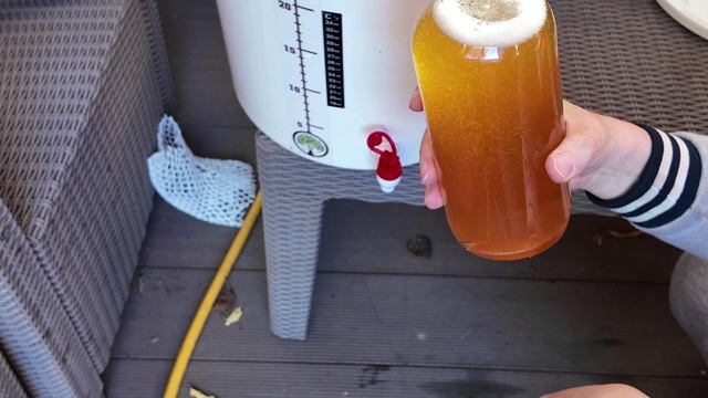 Карбонизированный сидр