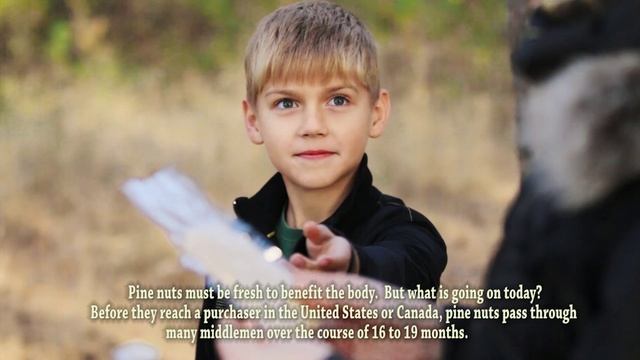 рекламный/презентационный  ролик  на английском языке,  для фирмы поставляющий орехи за границу