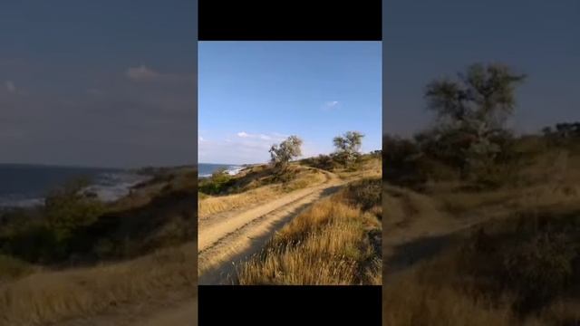 2 серия__Красота Божьего мира__монтаж Оля Масленникова