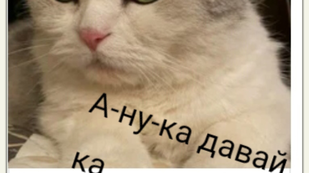 А НУ КА ДАВАЙ КА🩷🩷🩷🩷🩷🩷🩷🩷🩷🩷🩷🩷🩷🩷🩷🩷🩷🩷🩷🩷🩷🩷🩷🩷🩷🩷🩷🩷🩷🩷🩷🩷🩷🩷🩷🩷🩷🩷🩷🩷🩷🩷