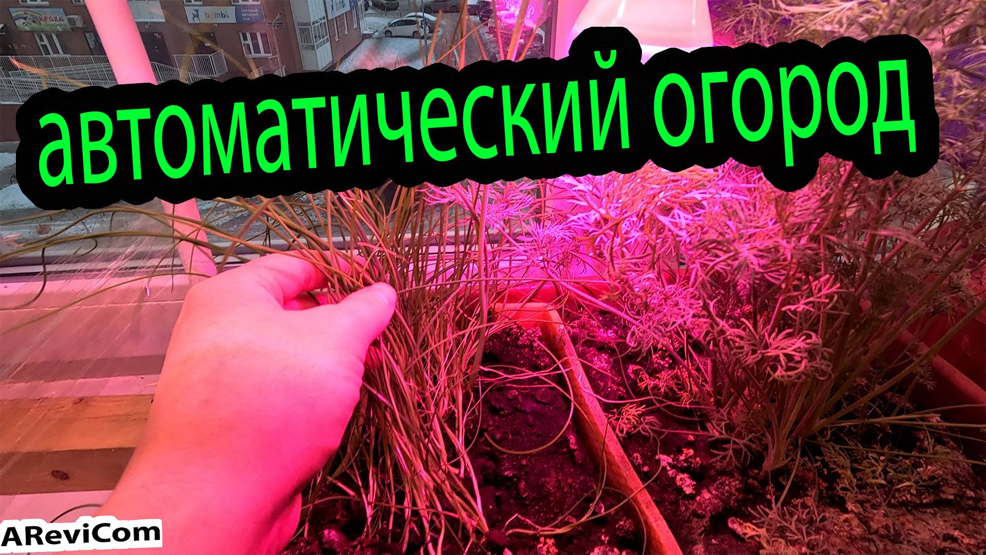 Умный огород круглый год на подоконнике, все на автомате