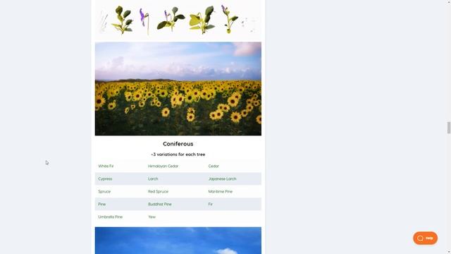 15_CG Environments in Blender using Addons (Scatter, Botaniq)