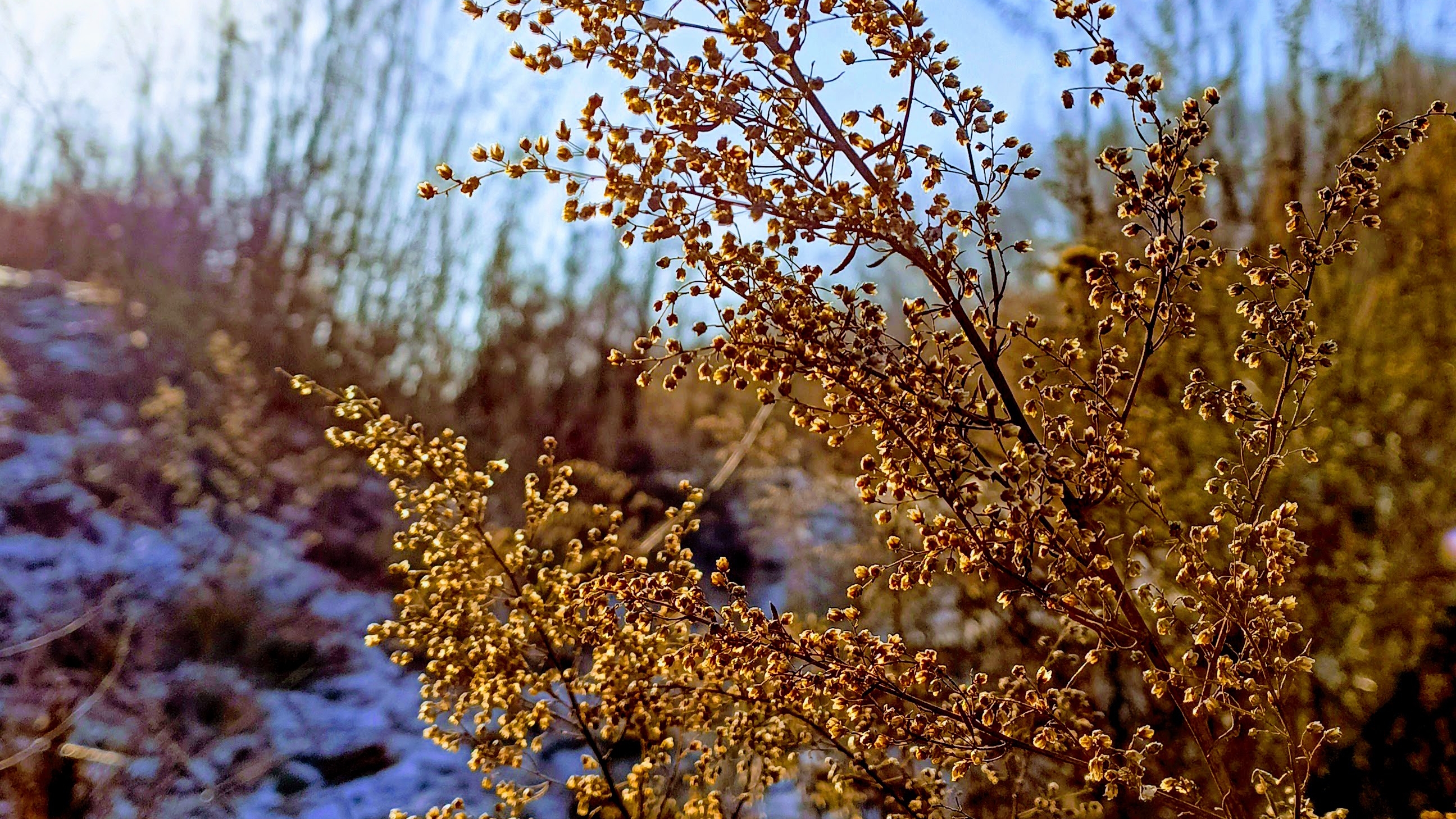 1 января 2025 Находка