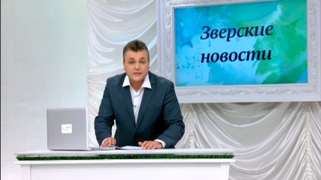 Спой нам, Попугай! Зверские новости Xayc.TV №8