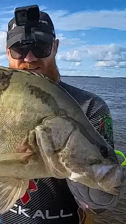 Окуни МОНСТРЫ