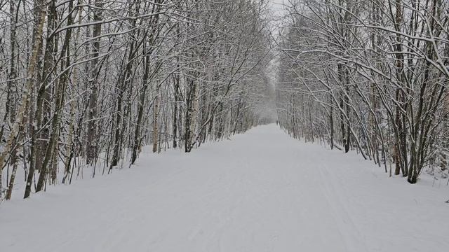 Начинаю заниматься здоровьем