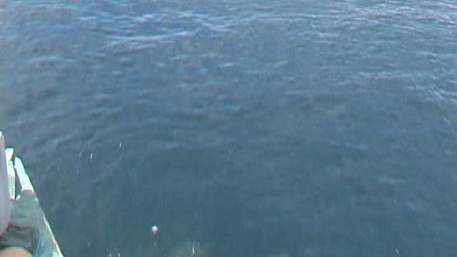 ИНДОНЕЗИЯ (песня)