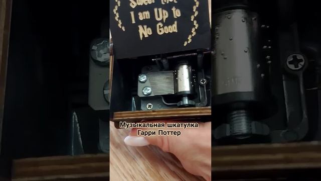 Музыкальная шкатулка Гарри Поттер #гаррипоттер #гаррипоттеригра #шкатулки