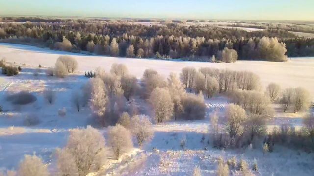 Домнинская  зима