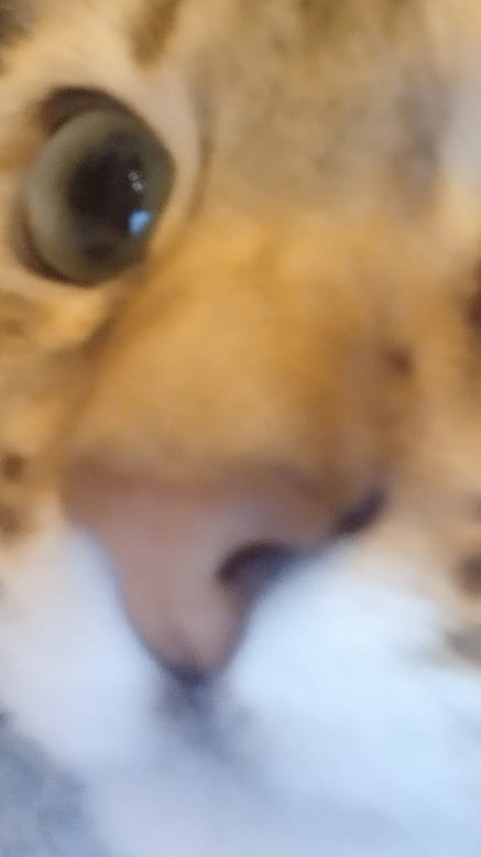 пов: таба лапкеры