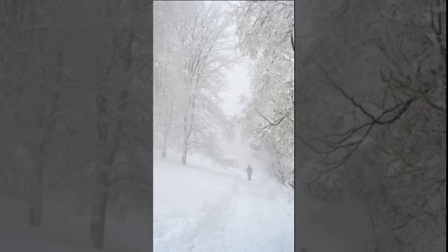 Звуки Зимней Вьюги, Снежной Метели