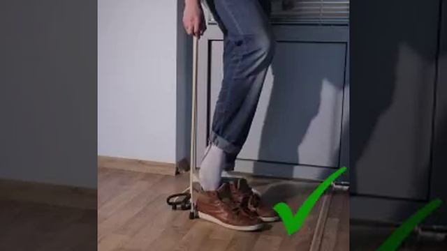 3 в 1: прислуга, охрана, оберег.