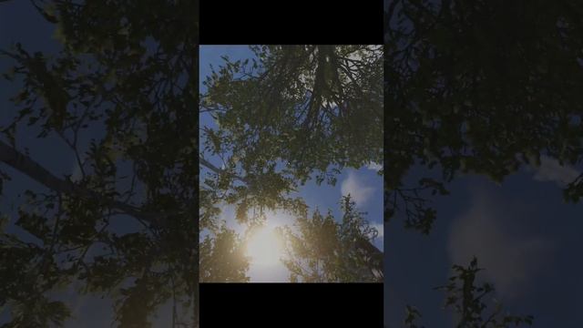 Рейд не по плану #rust #раст #Рейд #raid