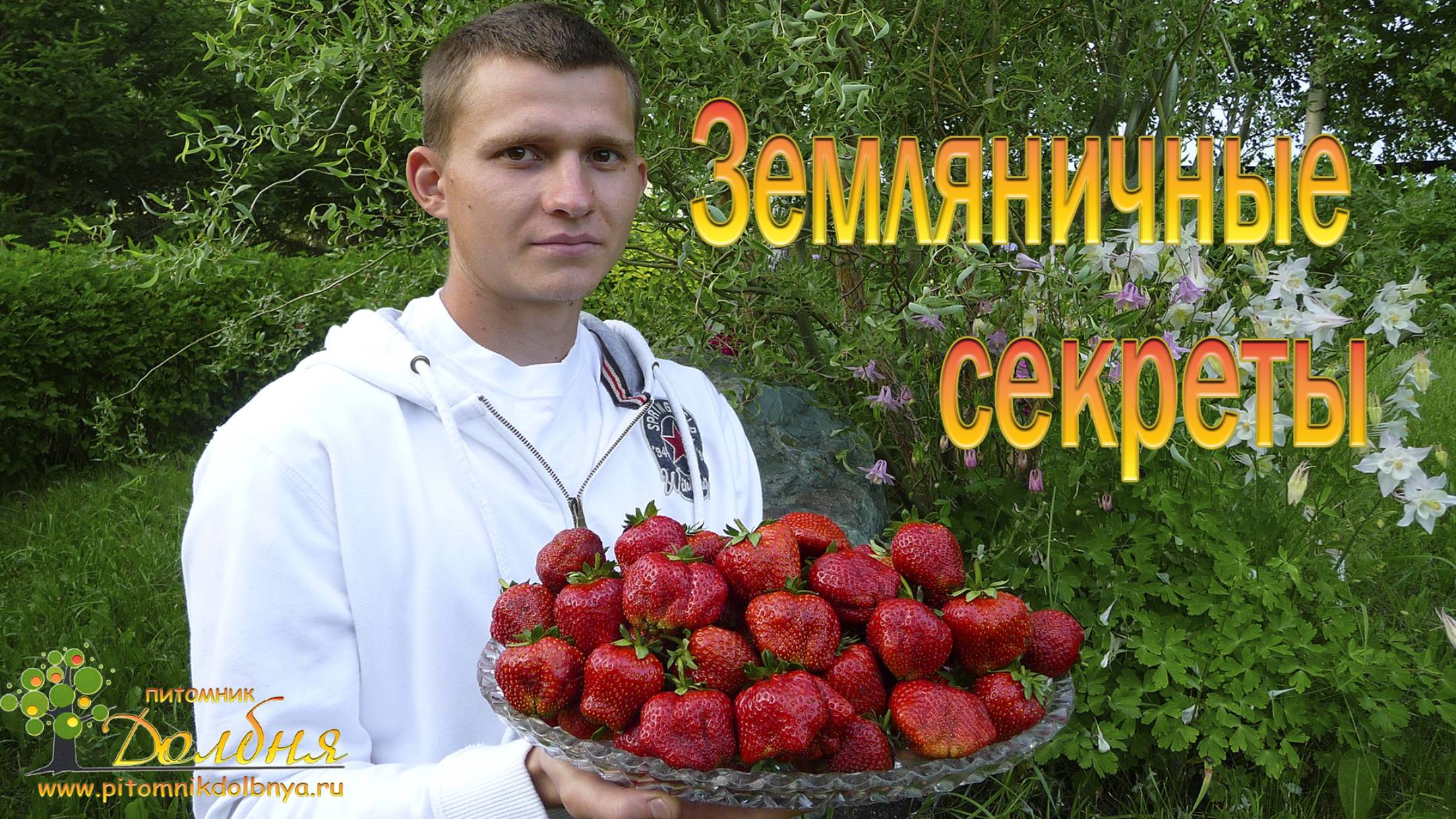 Земляничные секреты