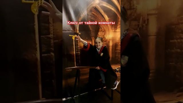 Тайная комната открыта. хогвартс гарри