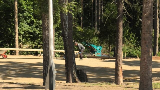 Обустройство лесопарка