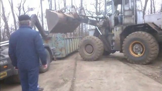 2021 Ноябрь я Дерево