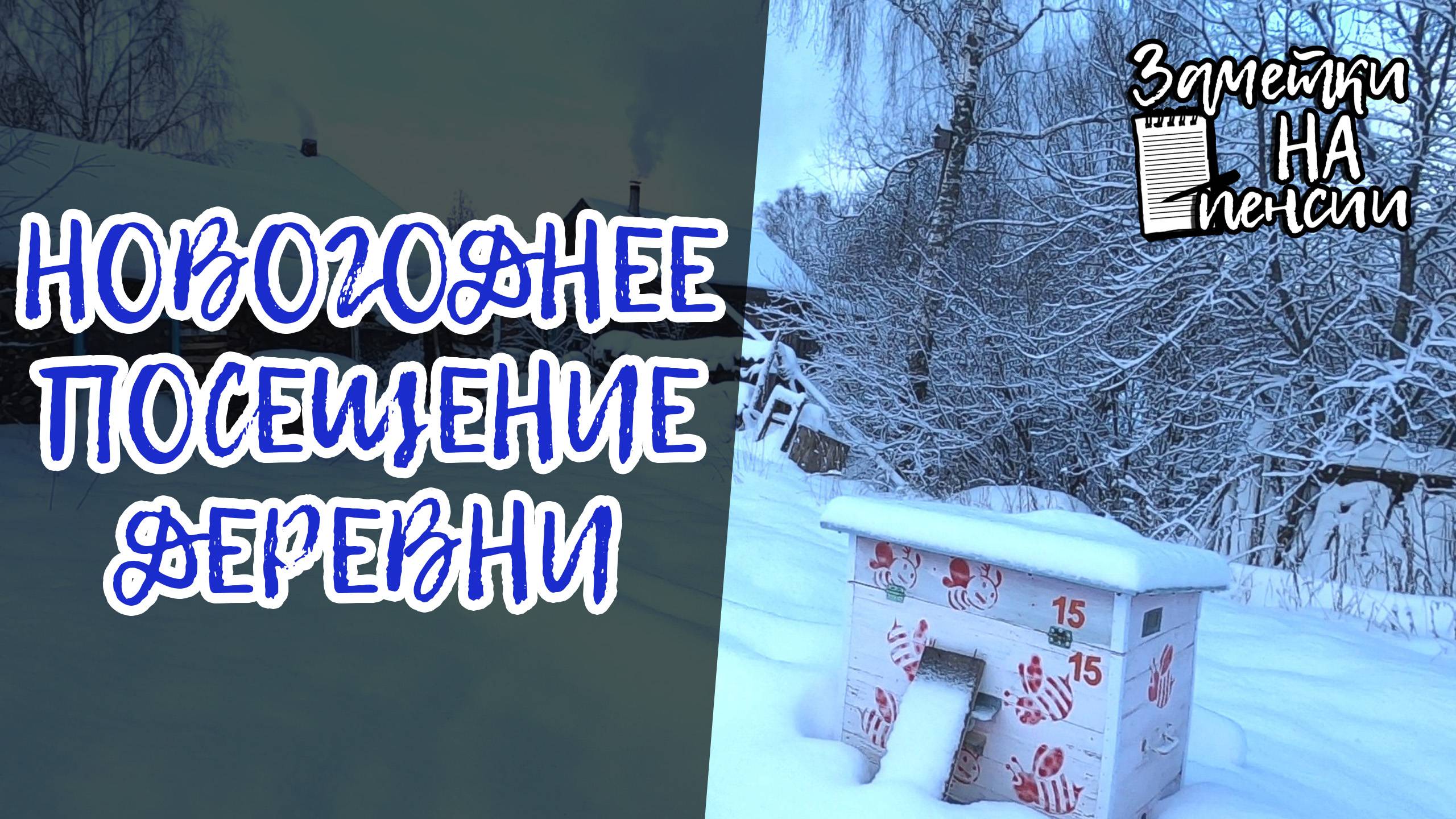 Новогоднее посещение деревни #деревня #отдых